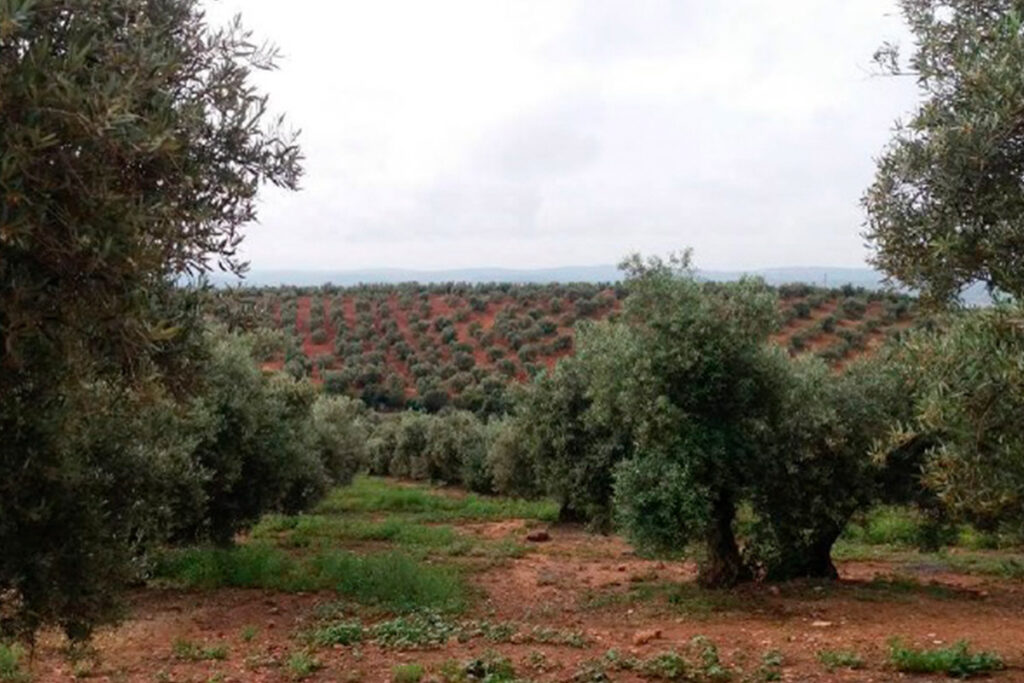 Cansol Energy Solutions » Electrical & Energy systems