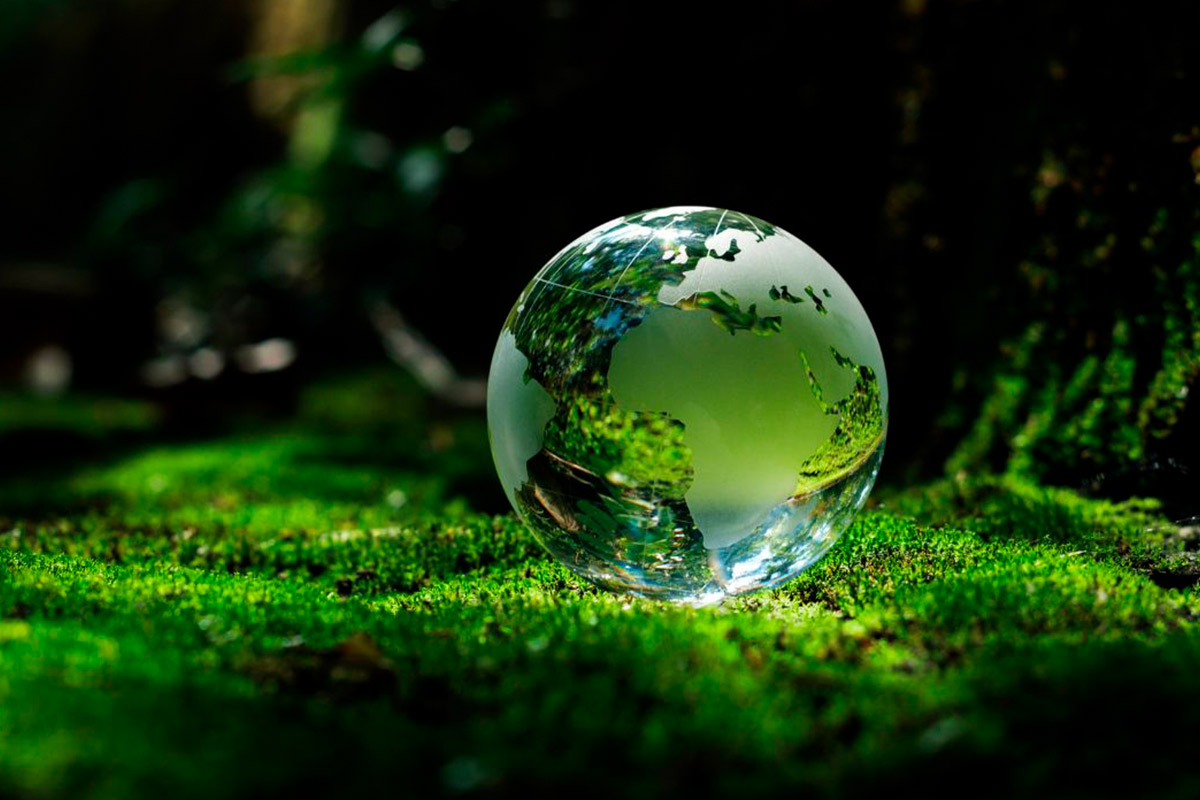 Cansol Energy Solutions » Electrical & Energy systems